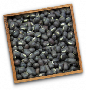 Beans - Columbia Grain