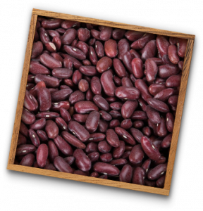 Beans - Columbia Grain