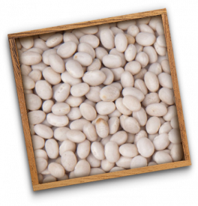 Beans - Columbia Grain