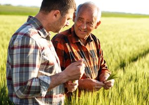 About CGI - Columbia Grain
