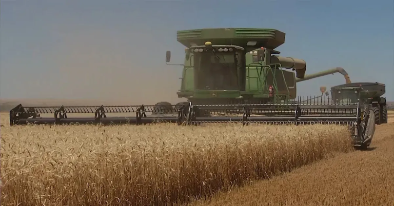 Home - Columbia Grain