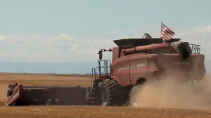 Home - Columbia Grain