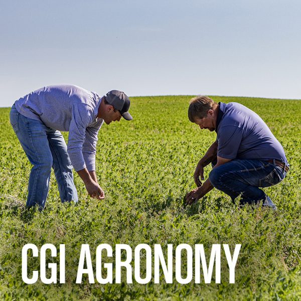 CGI Seed & Agronomy - Columbia Grain